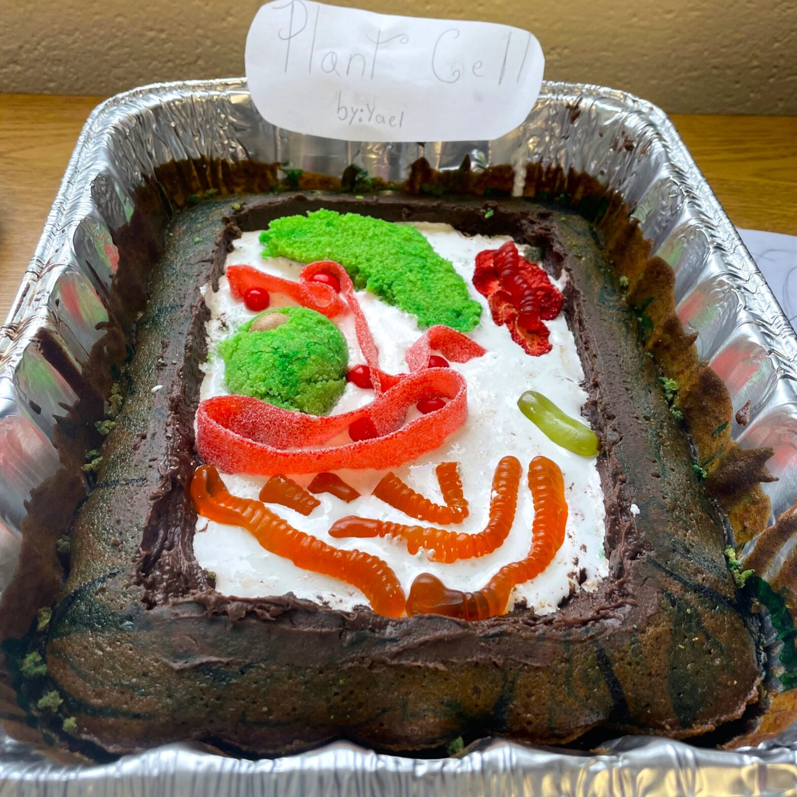 6th Grade Cell Project - Grace Lutheran School