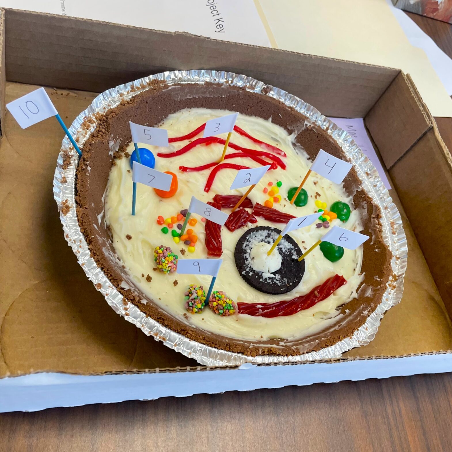 6th Grade Cell Project - Grace Lutheran School